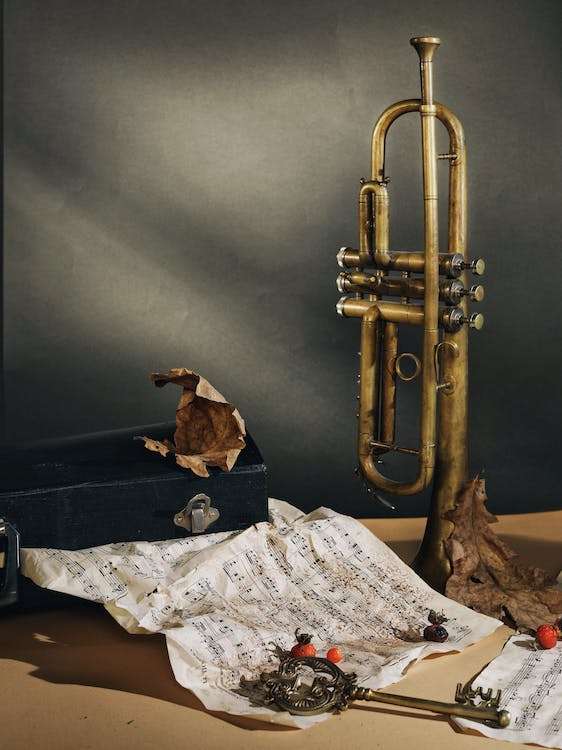 Guide to the Cornet - Sound Genetics