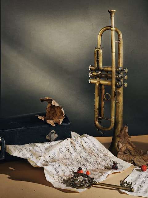 Guide to the Cornet - Sound Genetics
