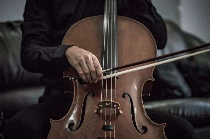 Ultimate Guide to Bowed String Instruments - Sound Genetics